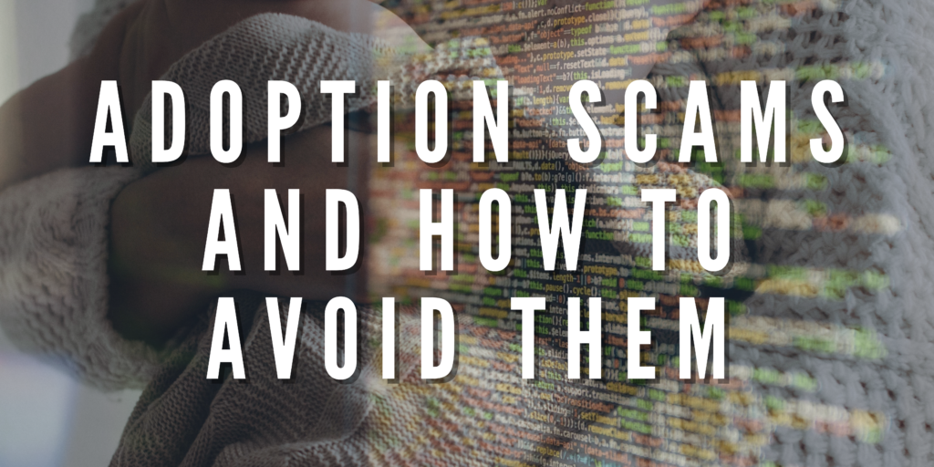 Adoption Scams and How To Avoid Them